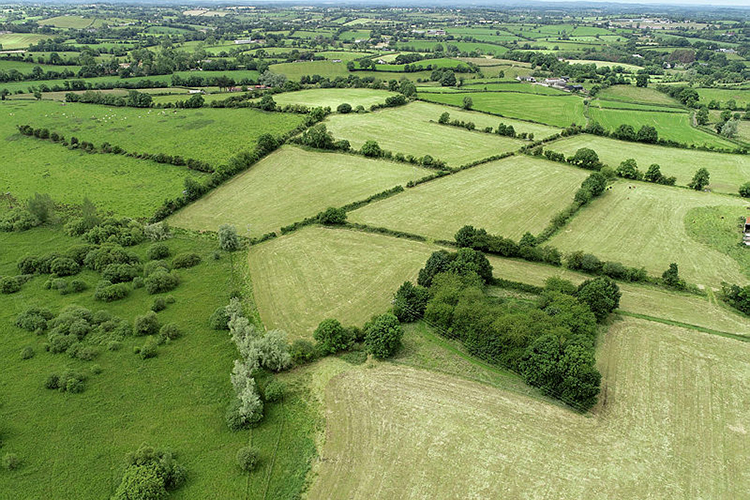 The King's Stables | Department for Communities