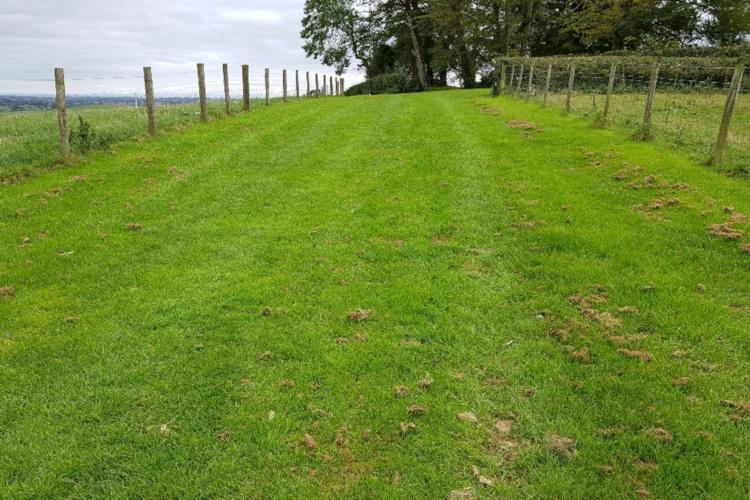 Outdoor ground protection system for historic places | Department for ...